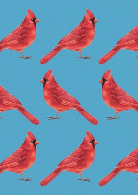 Illustrated Dotwork Sparrow Blue Art For Living Room Walls And Artwork